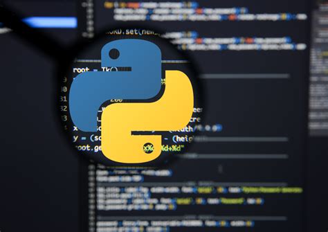 How To Hire A Python Developer In Guide For Employers And Hiring Managers