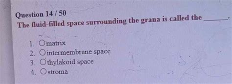 Solved Question 14 50the Fluid Filled Space Surrounding