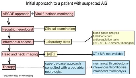 Pediatric Patient With Ischemic Stroke Initial Approach And Early