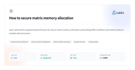 how to secure matrix memory allocation labex
