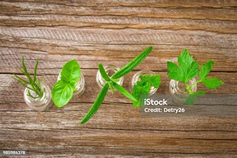 바 질 로즈마리 파 슬 리 딜 민트의 허브와 에센셜 오일의 병에는 오래 된 나무 배경 설정 건강관리와 의술에 대한 스톡 사진 및 기타 이미지 Istock