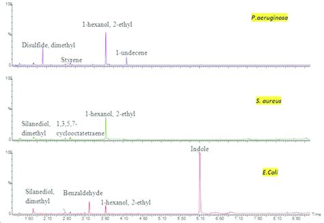 Chromatograms Of Single Bacteria Species Using Headspace Spme Gcms The Download Scientific