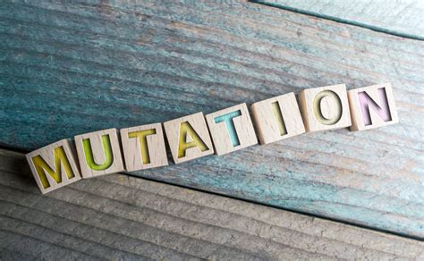 Mthfr Genetic Mutation Symptoms Genes Wellness