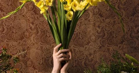 Violeta Sofia Gillian Jason Gallery