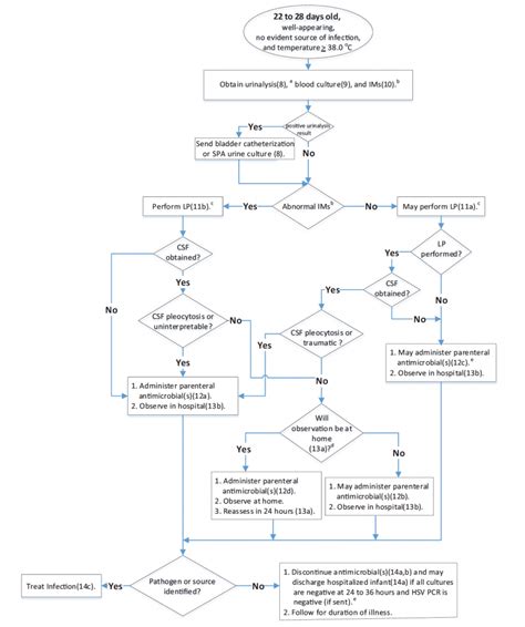 Landmark Febrile Neonate Febrile Infant Guideline From The Aap