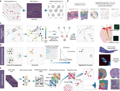 Robust Mapping Of Spatiotemporal Trajectories And Cell Cell Interactions In Healthy And Diseased