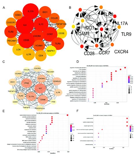 A Protein Protein Interaction Ppi Network Of Differentially