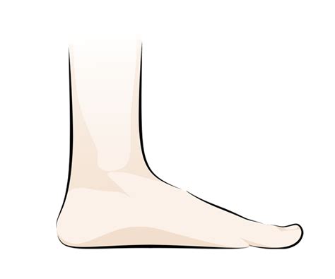 Understanding Flat Feet Causes Prevention And Insoles Footlogics