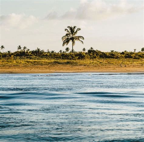 How Could Pharaoh S Magicians Replicate Moses First Plague