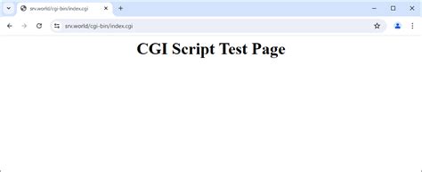 Ubuntu 2404 Nginx Use Cgi Scripts Server World