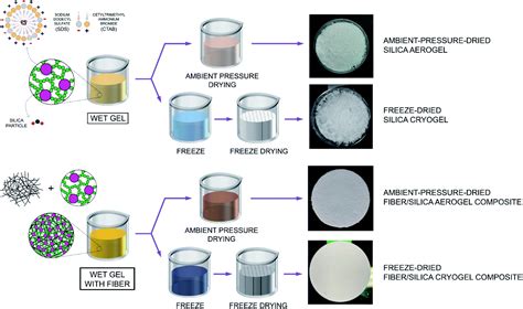 Freeze Drying Vs Heat Drying At Louise Rizo Blog