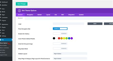 How To Remove Footer In Divi The Easy Way QuadLayers