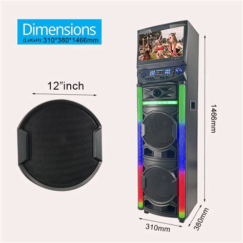 Party Speaker With Super Bass And Built In Wifi For Karaoke Wireless