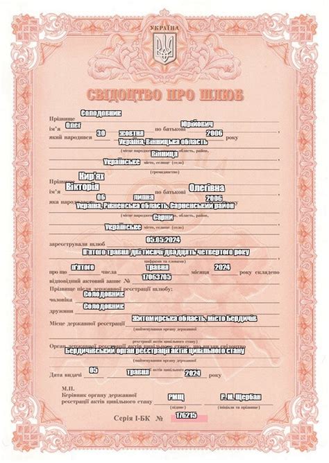 Создать комикс мем свидетельство о браке бланк пустой свідоцтво про шлюб пустое свидетельство