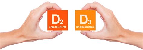 What Is The Difference Between Vitamin D2 And D3