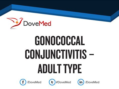 Gonococcal Conjunctivitis Adult Type