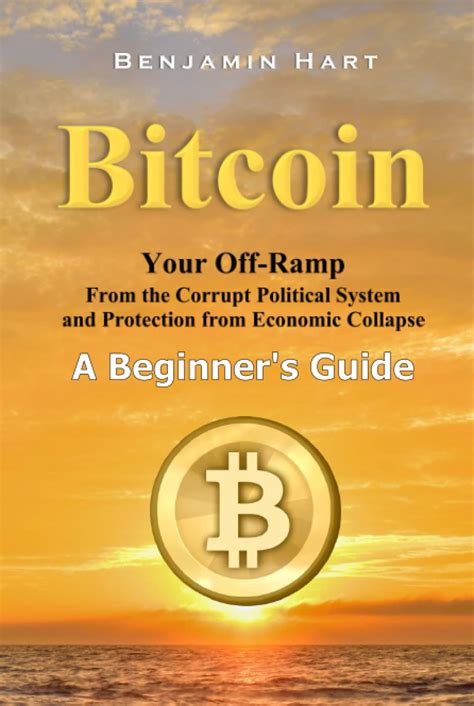Bitcoin A Beginner S Guide ThePressFree