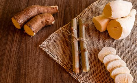 ≡ Manioc Bienfaits Du Tubercule Et Utilisation En Cuisine