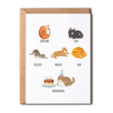Funny Cat Birthday Cards Celebrate Or Dont Cat Birthday Card Paper