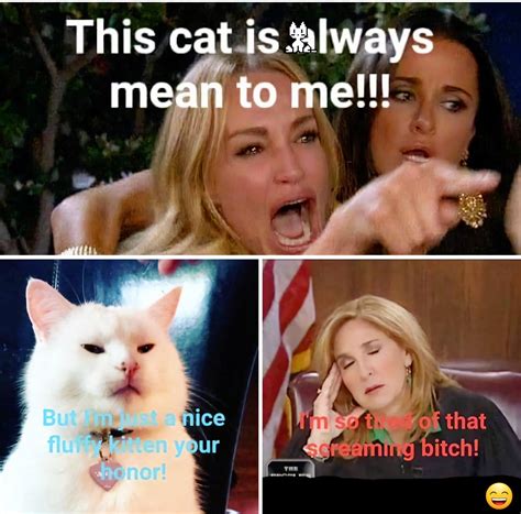 White Cat Memes Aka Smudge Facebook