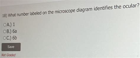 What Number Labeled On The Microscope Diagram Identifies The Ocular A