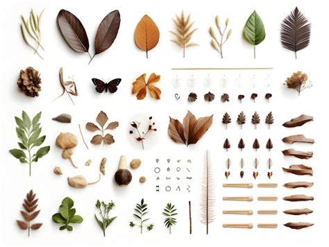 Batch Of Graphic Design Elements Graphic And Design Objects Web Design