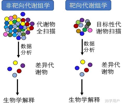 转录组和代谢组怎么联合分析呢？ 知乎