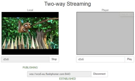 Webrtc Safari Flashphoner Streaming And Calls For Web