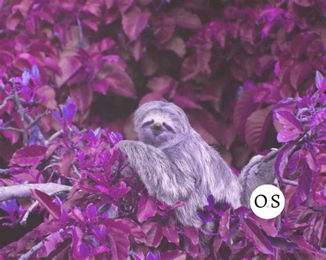 Haskell How A Lazy Language Was Put To Work Part One
