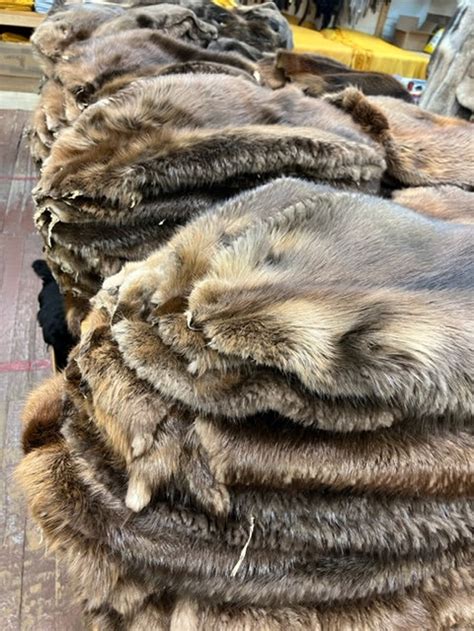Beaver Fur Pelts Etsy Canada