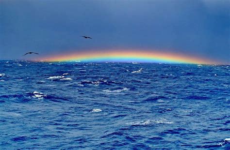 40 Bermuda Triangle Facts And Secrets You Have To Know