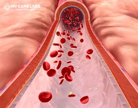 Lipid Monomer Structure And Function Lipid Monomer Name