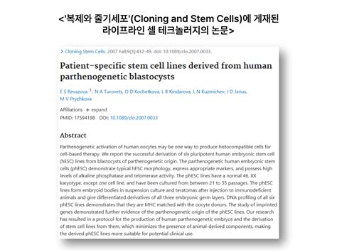 차바이오그룹 뉴스룸