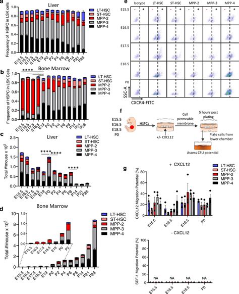 Fbm Hspc Frequency Is Distinct From Fl And Adult Bm Frequency In Lsk Download Scientific