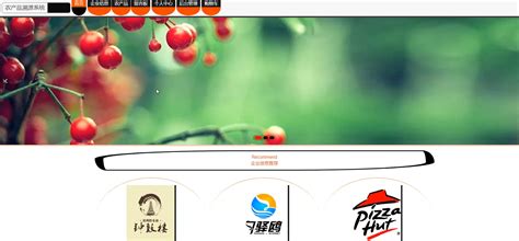 Springboot计算机毕业设计农产品溯源系统t65qs（程序源码数据库调试部署开发环境）带论文文档1万字以上，文末可获取，系统界面