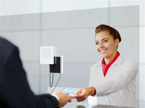 VoiceBridge Standard Set Schwan Glas Shop