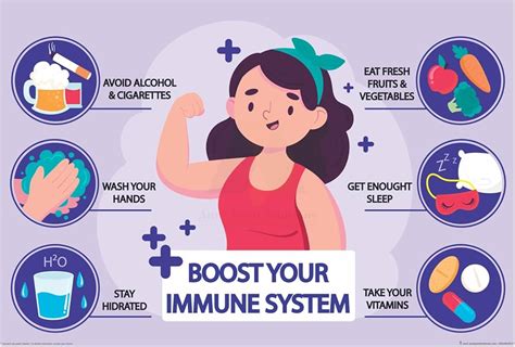 Immune System Poster