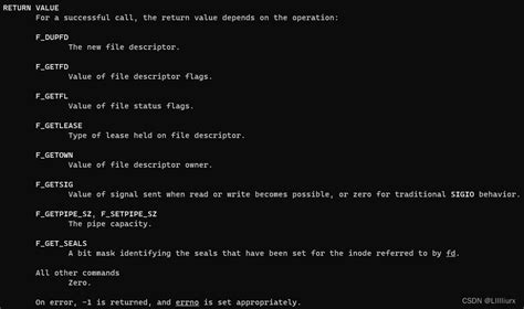 Linux编程实践day5 Csdn博客