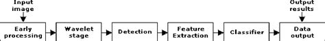 Figure 1 From Development Of A Cad System For Automatic Classification