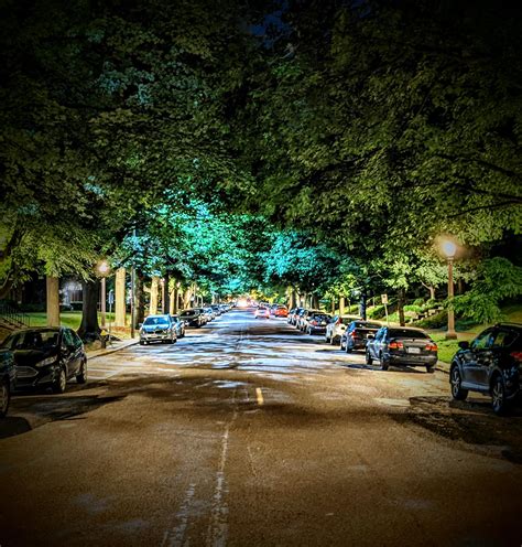 Best Tree Tunnel Images On Pholder Pics Itookapicture And Nature Is Fucking Lit