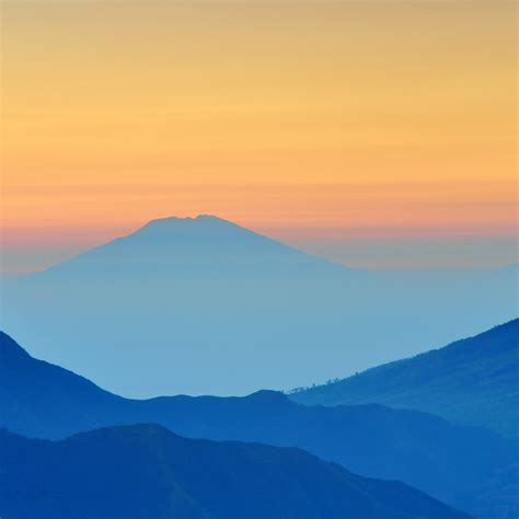 Jiawei Zhang Homepage