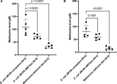 New Study Reveals Methionine Restriction Could Reverse Old Age Obesity