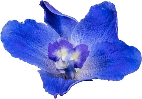 Cvijeće Za Ispraćaj Pecina Cvijeće 385 98 1828 970