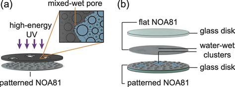We Conduct Radial Fluid Fluid Displacement Experiments In Microfluidic Download Scientific