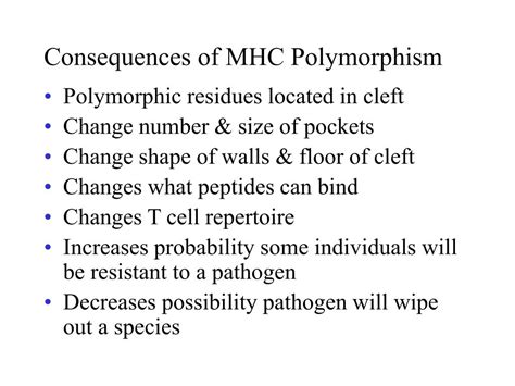 Ppt Mhc Class I Powerpoint Presentation Free Download Id1777384