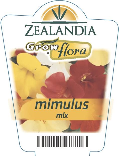 Mimulus Mix Springvale Garden Centre