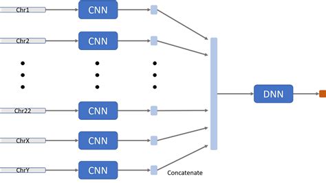 Applying Deep Learning To Genetic Prediction Ehud Karavani Ehud Karavani