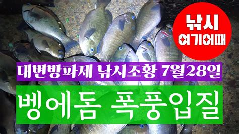 대변방파제 벵에돔 폭풍입질 부산기장권방파제 낚시조황 낚시여기어때 Youtube
