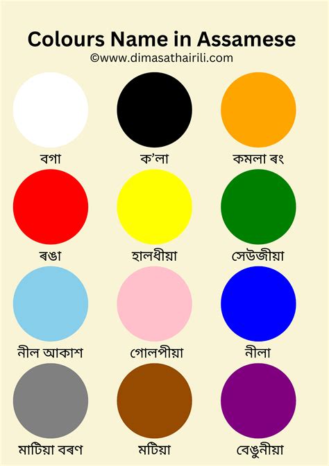 Colours Name In Assamese And English With Pictures ৰঙৰ নাম অসমীয়াত