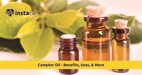 Camphor Oil Benefits Uses And More